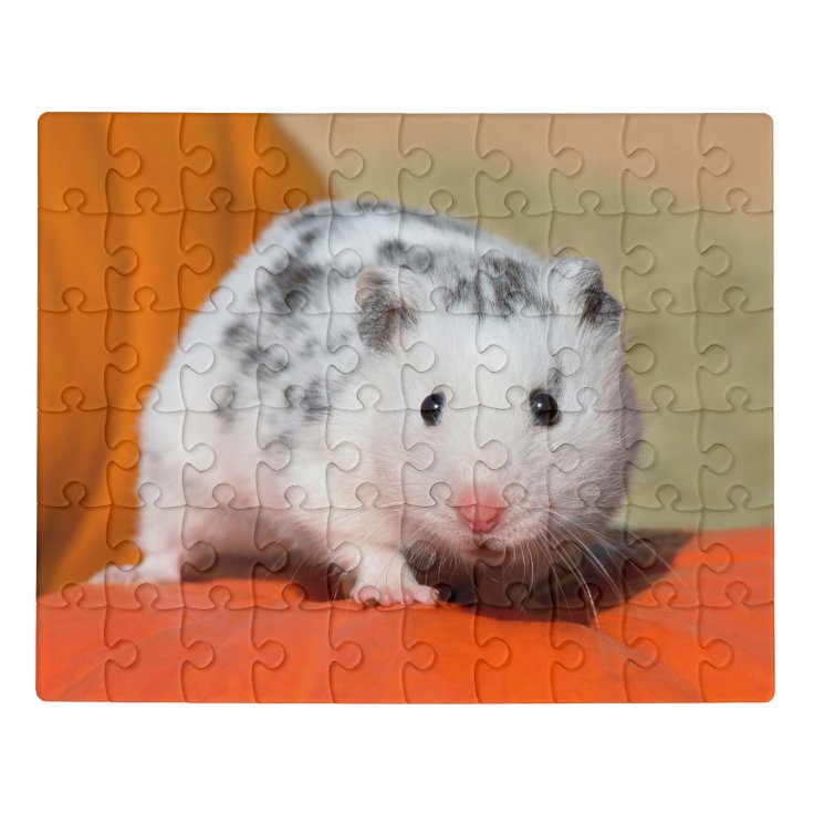 Cute Syrian Hamster White Black Spotted Funny Pet Jigsaw Puzzle | Zazzle