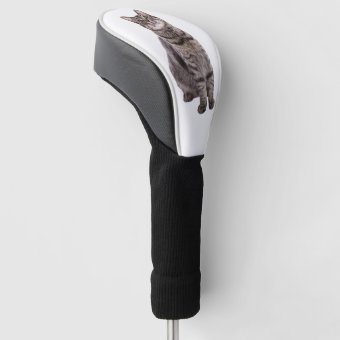 Cute Tabby Cat Golf Head Cover | Zazzle