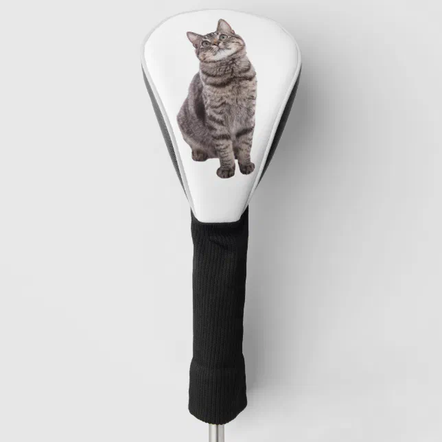 Cute Tabby Cat Golf Head Cover | Zazzle