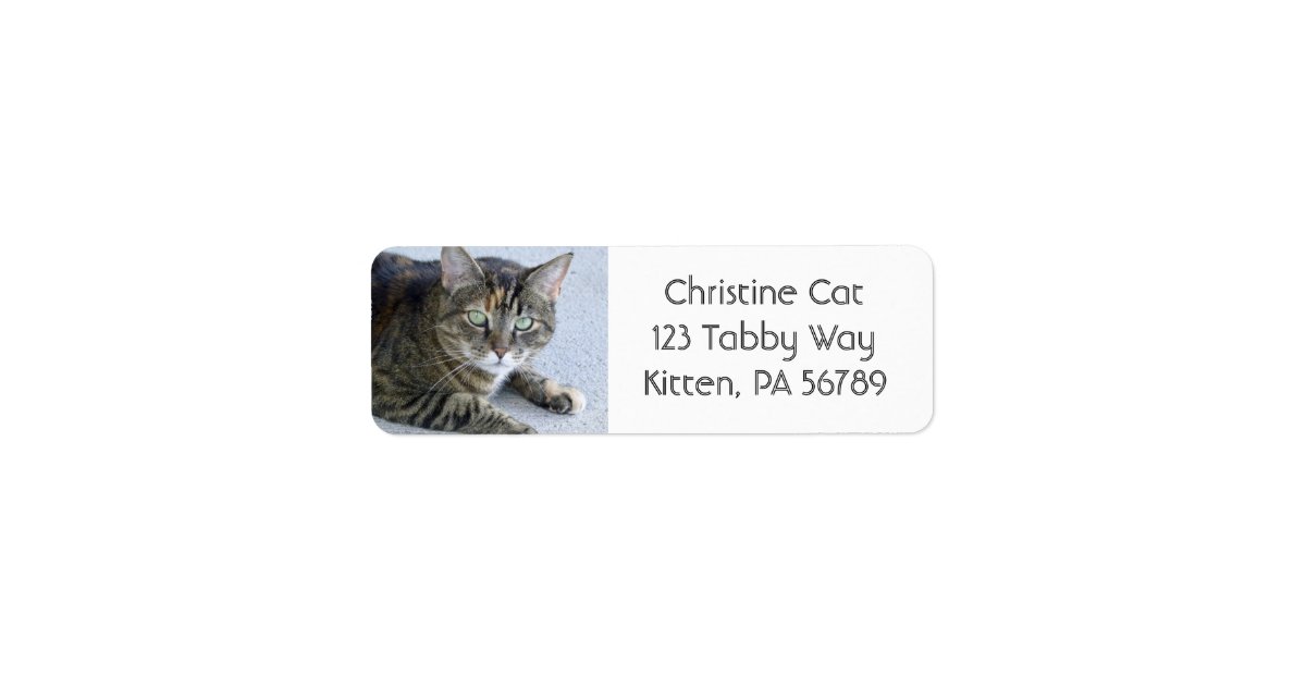 Cute Tabby Cat Photo Label | Zazzle