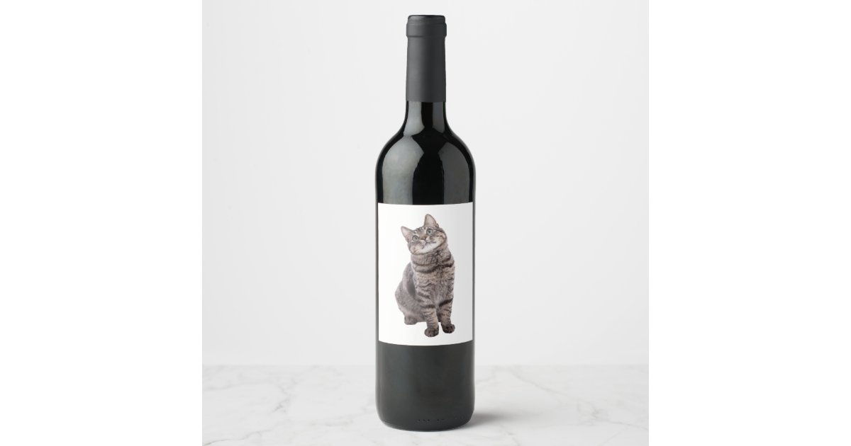Cute Tabby Cat Wine Label | Zazzle