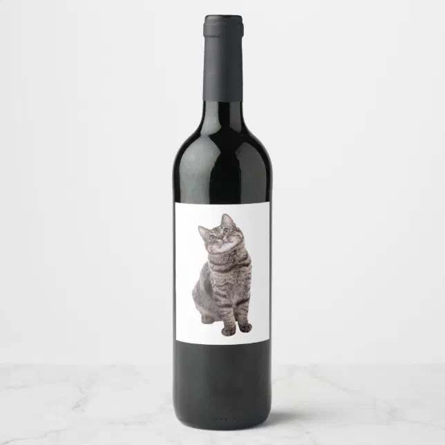 Cute Tabby Cat Wine Label | Zazzle