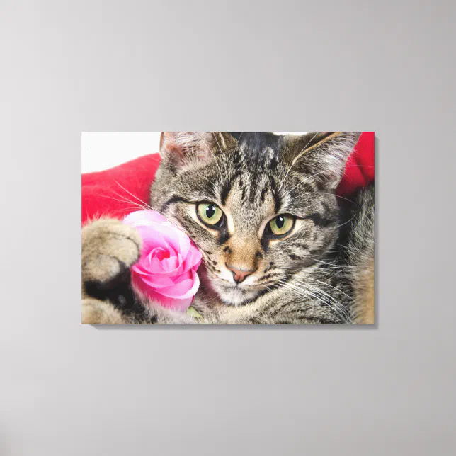 Cute Tabby Cat With Rose Canvas Print | Zazzle