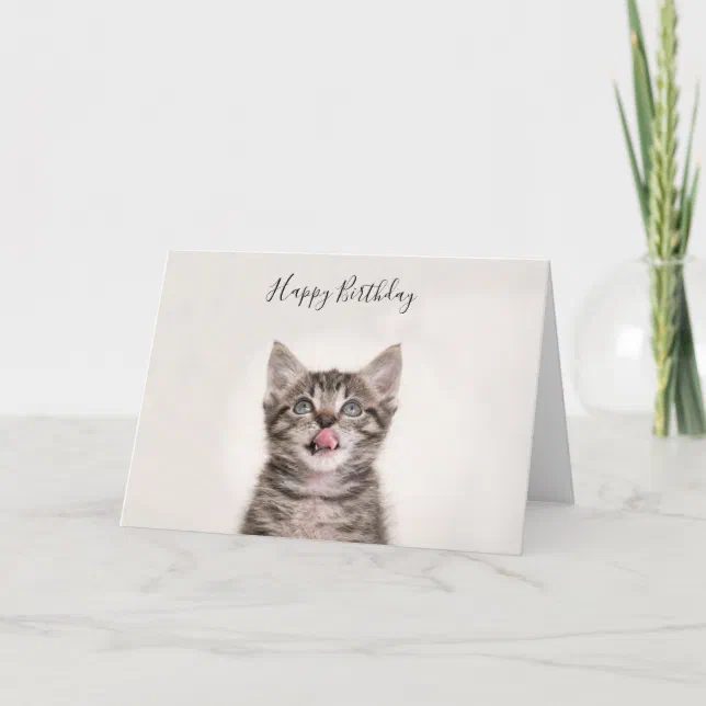 Cute tabby kitten birthday card | Zazzle