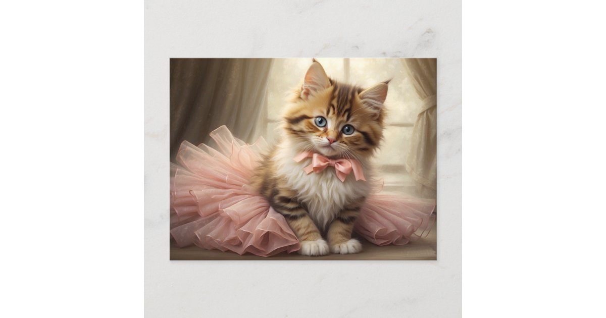 Cute Tabby Kitten Wearing a Pink Tutu Postcard | Zazzle