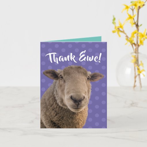 Cute Thank "Ewe" Card Featuring A Ewe | Zazzle