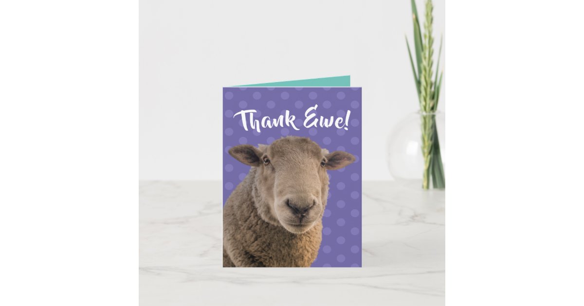 Cute Thank "Ewe" Card Featuring A Ewe | Zazzle