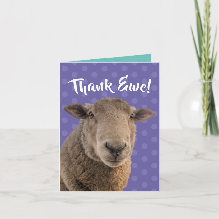 Cute Thank "Ewe" Card Featuring A Ewe | Zazzle.com