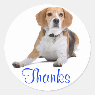 Dog Thank You Stickers | Zazzle