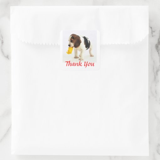Cute Thank You Beagle Puppy Dog Greeting Stickers | Zazzle