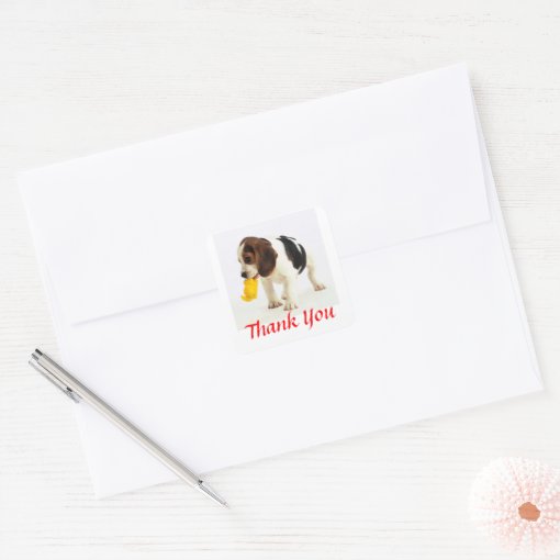 Cute Thank You Beagle Puppy Dog Greeting Stickers | Zazzle