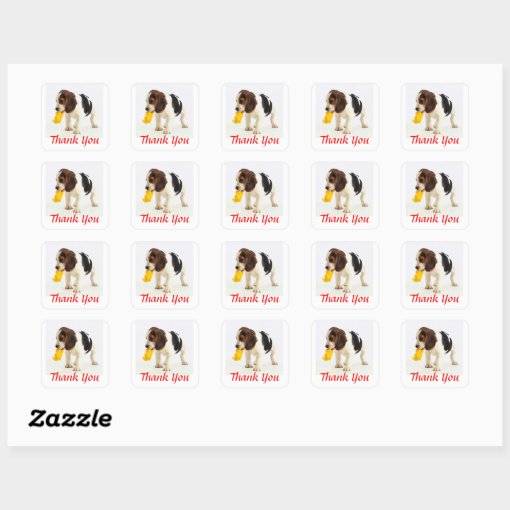 Cute Thank You Beagle Puppy Dog Greeting Stickers | Zazzle