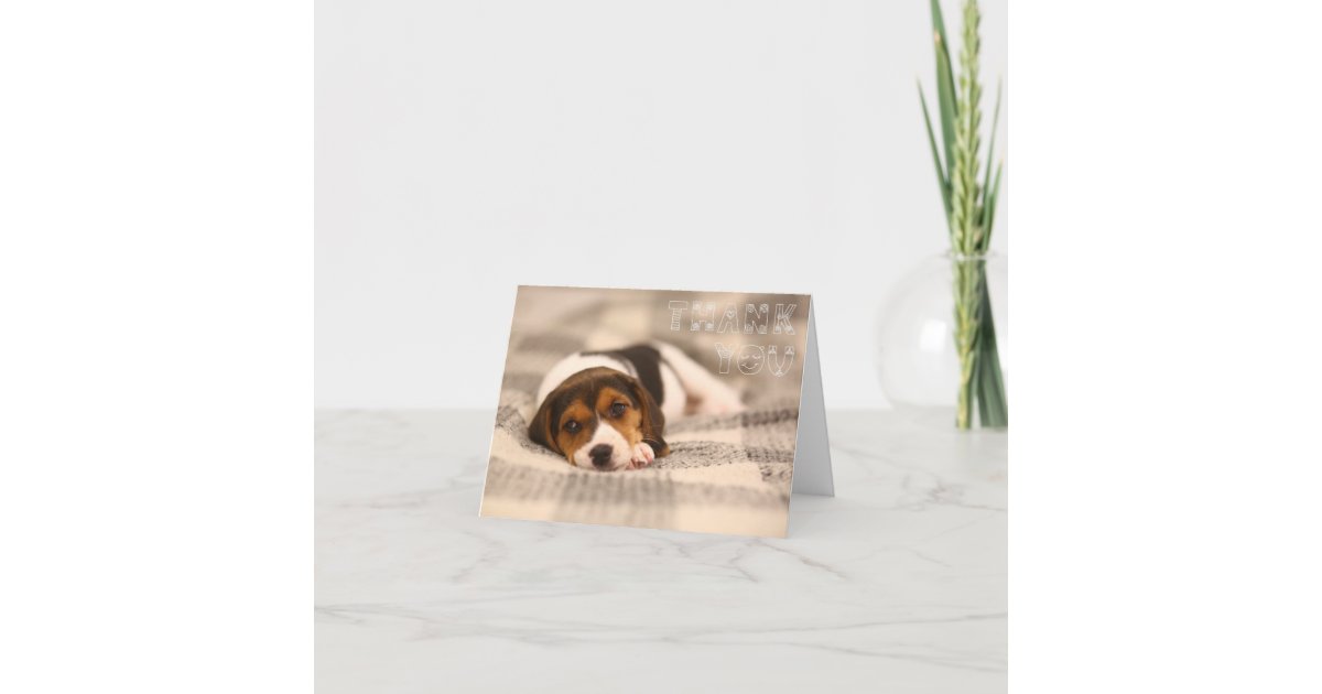Cute Thank You Card with Beagle Puppy | Zazzle