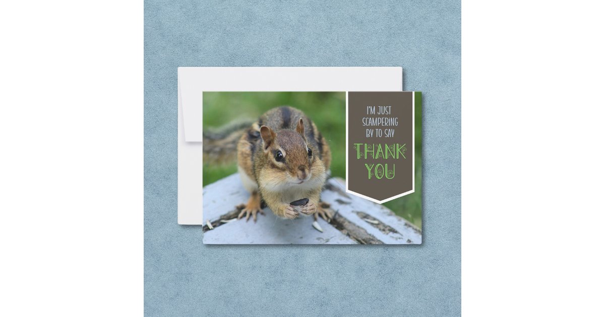 Cute Thankful Chipmunk Flat Thank You Card | Zazzle