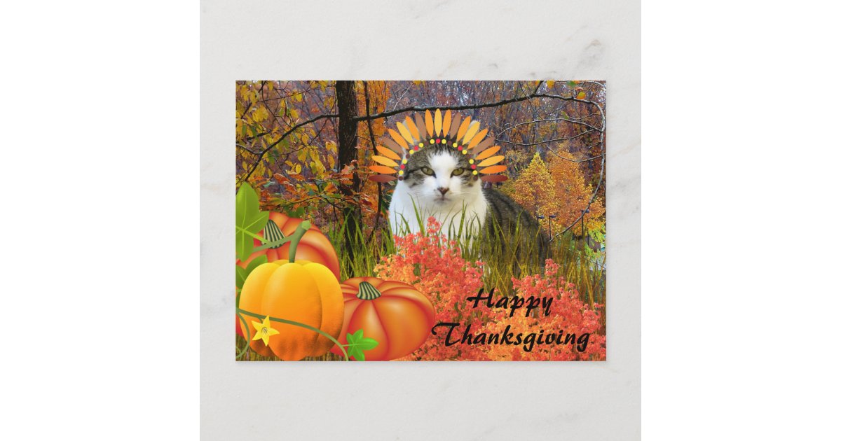 Cute Thanksgiving Cat Collage Art Postcard | Zazzle