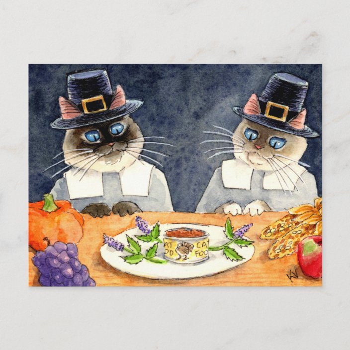 Cute Thanksgiving Pilgrim Cats postcard | Zazzle.com