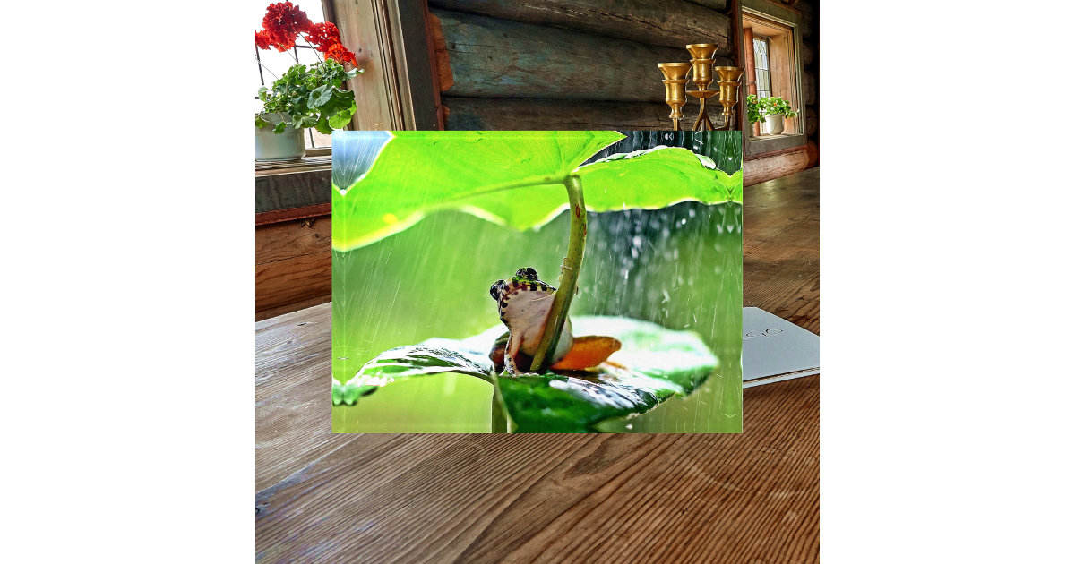 Cute Tree Frog Umbrella Leaf Rain Sparkle Shine Paperweight | Zazzle