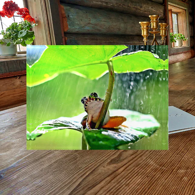 Cute Tree Frog Umbrella Leaf Rain Sparkle Shine Paperweight | Zazzle