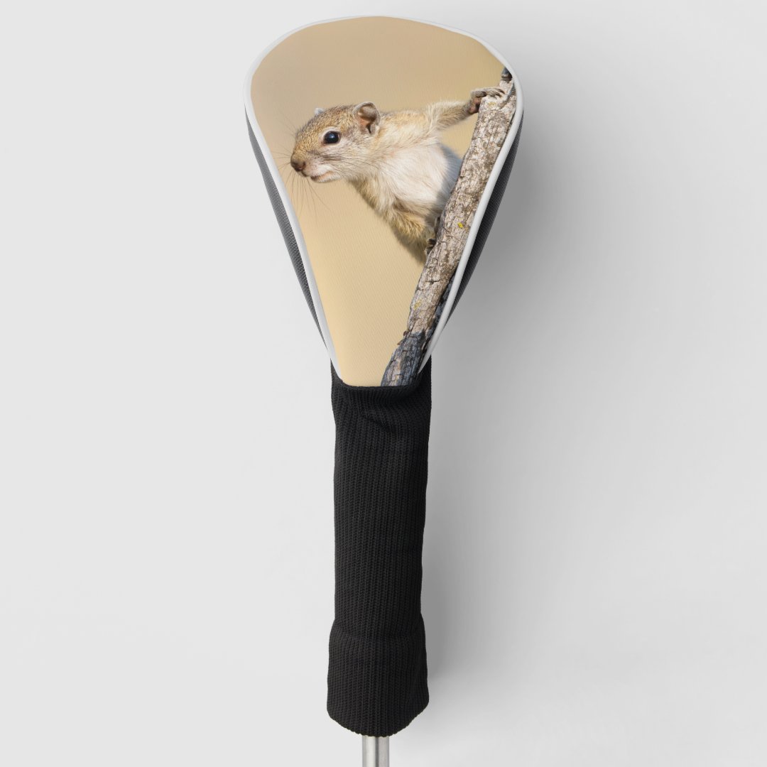 Cute Tree squirrel wild animal photo Golf Head Cover | Zazzle