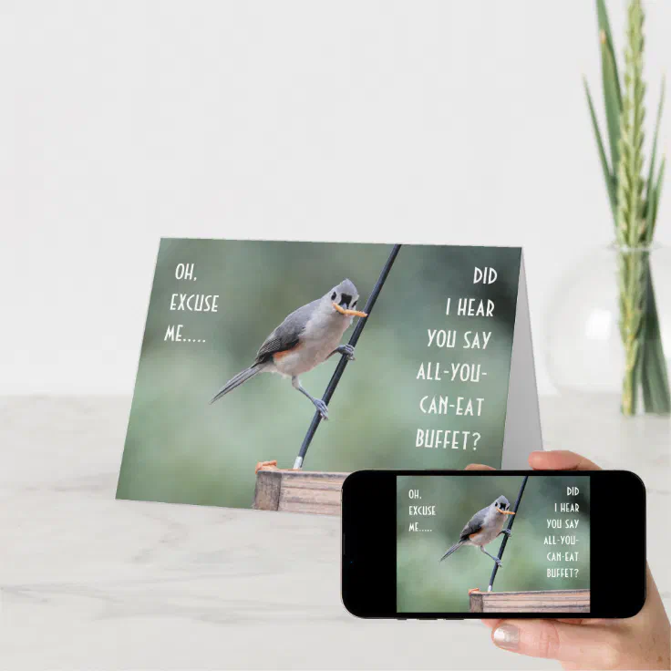 Cute Tufted Titmouse on Feeder, Funny Birthday Card | Zazzle