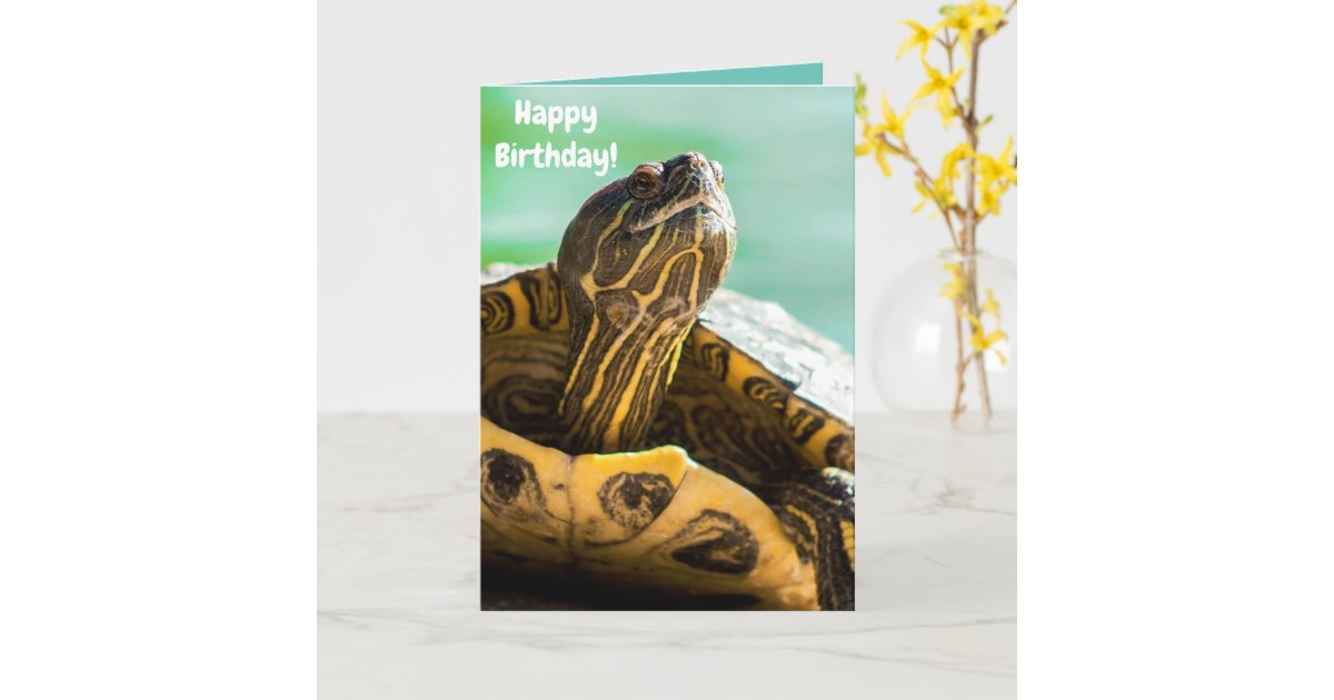 Cute Turtle Happy Birthday Card | Zazzle