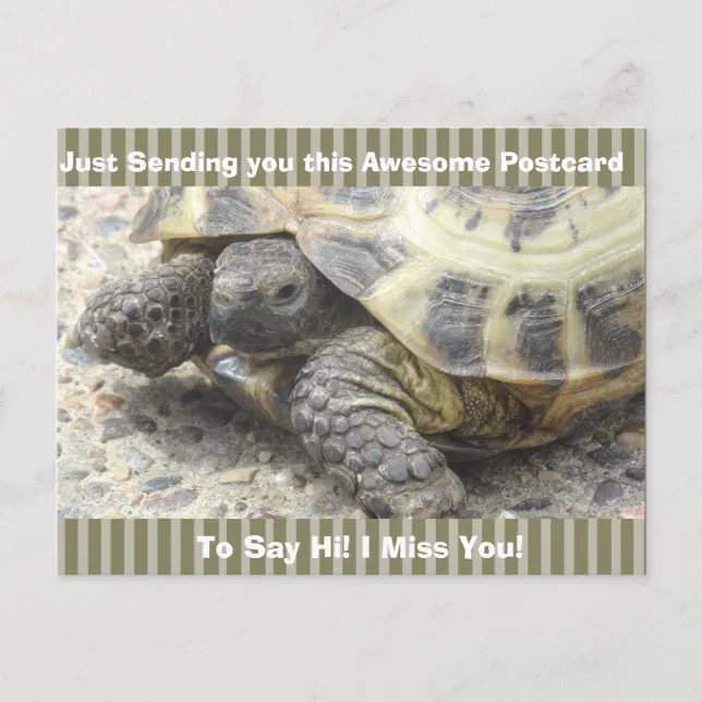 Cute Turtle "I Miss YOU" Saying Hi Post Card | Zazzle