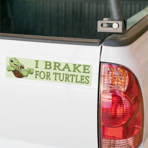 Cute Turtles - I Brake for Turtles Bumper Sticker | Zazzle