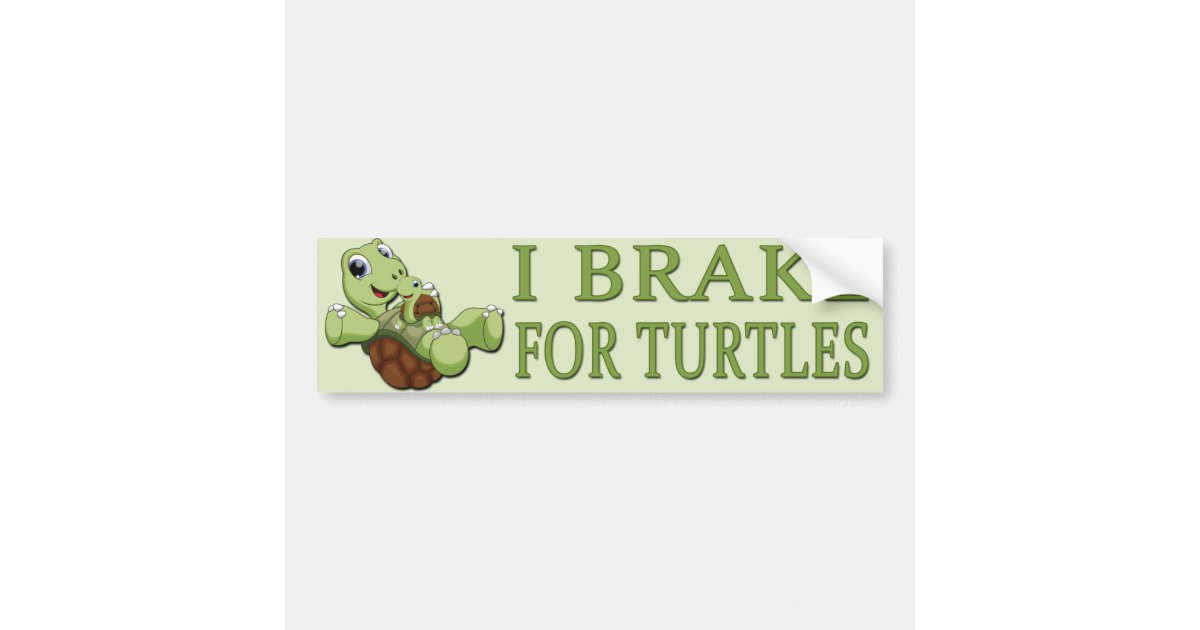Cute Turtles - I Brake for Turtles Bumper Sticker | Zazzle