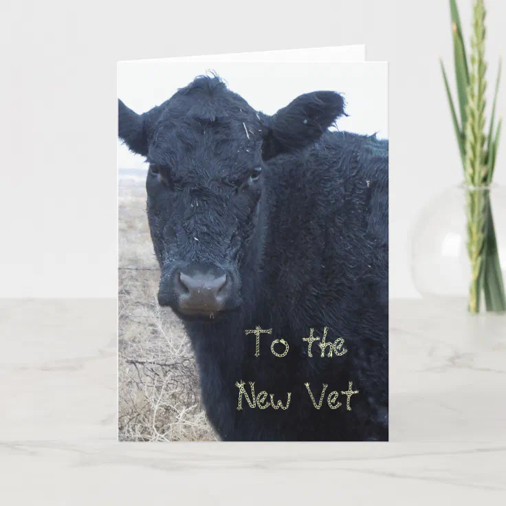 Cute Vet Graduation Congratulations Ranch Farm DVM Card | Zazzle