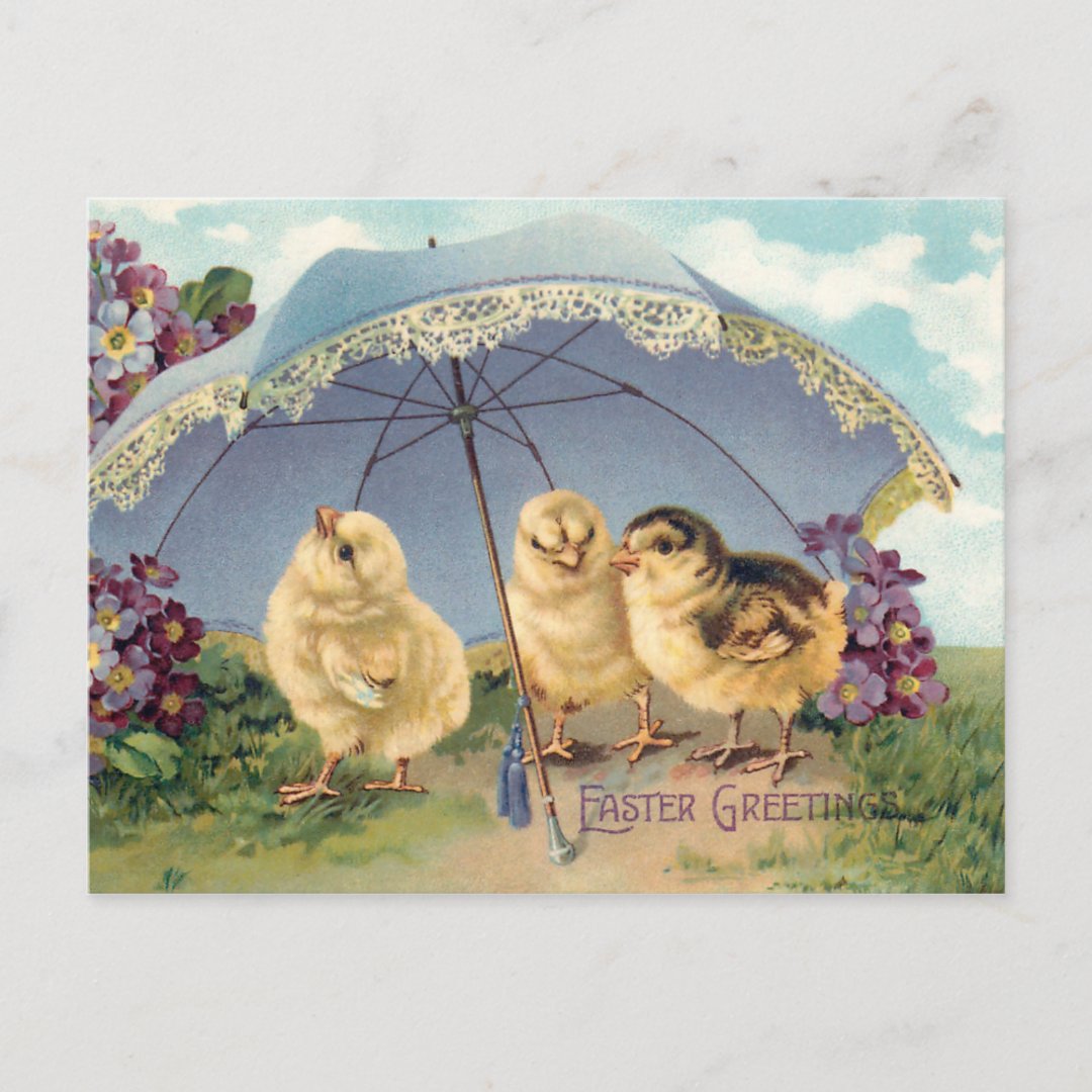 Cute Vintage Easter Chicks and Parasol Postcard | Zazzle