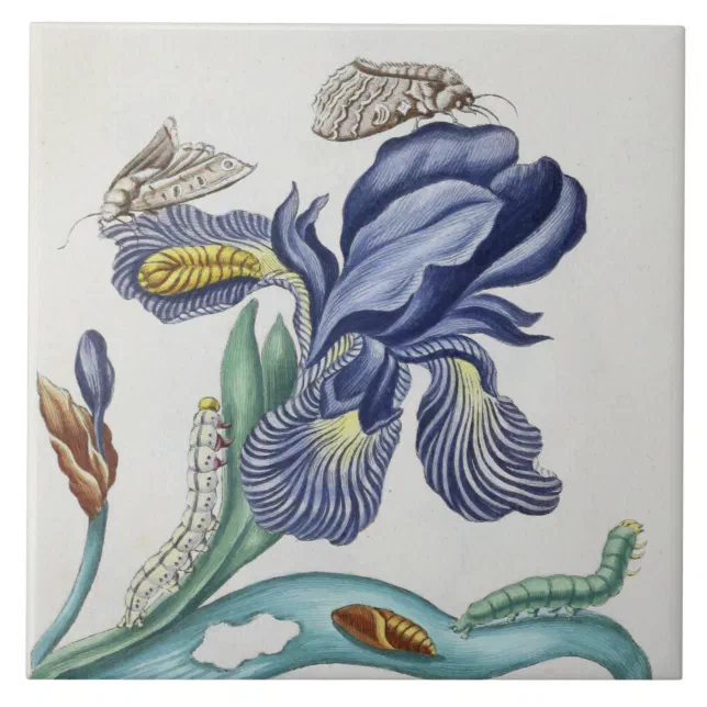 cute vintage flowers and insects ceramic tile | Zazzle