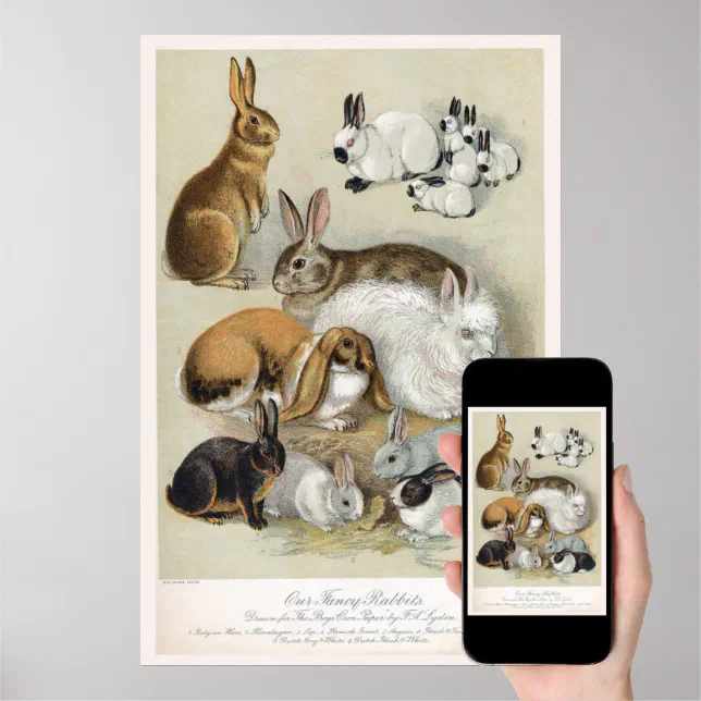 Cute Vintage Retro Bunny Rabbit Poster | Zazzle