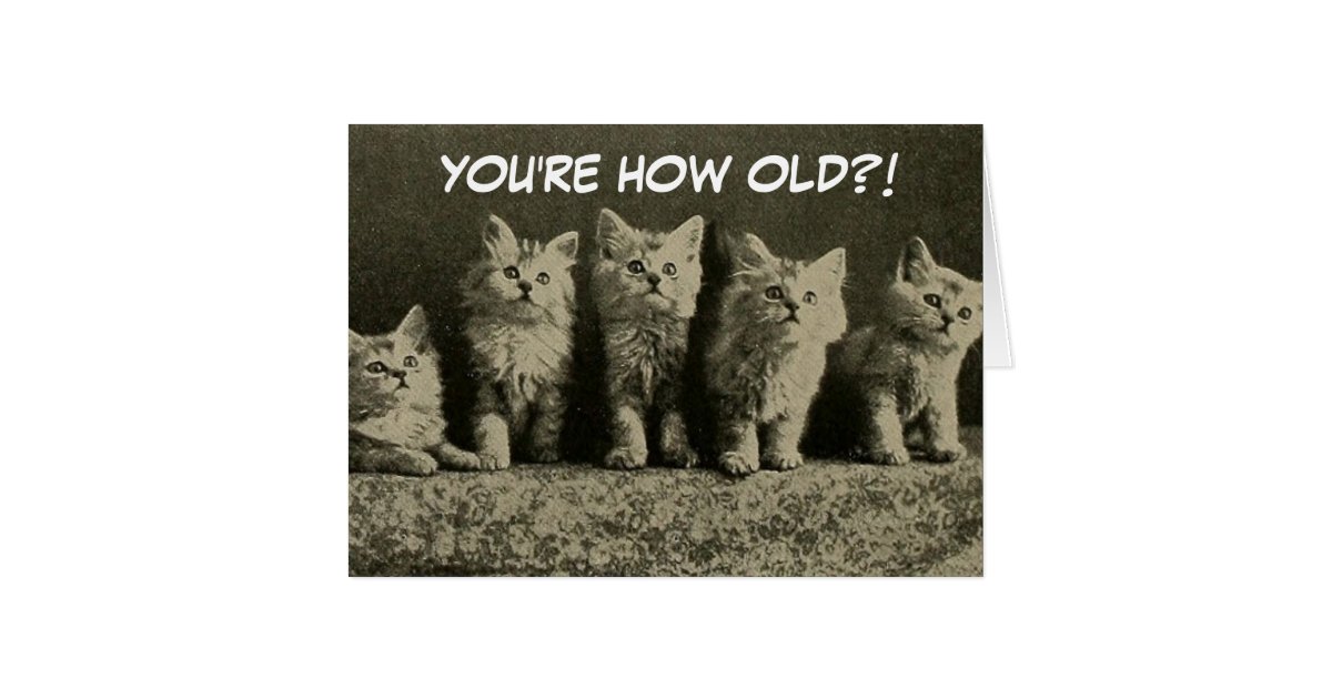 Cute Vintage Retro Kittens Happy Birthday Card | Zazzle.com