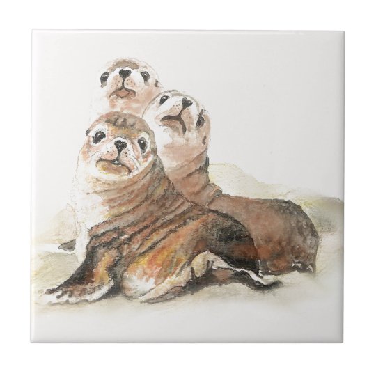 Cute Watercolor Seals Animal Ceramic Tile | Zazzle.com