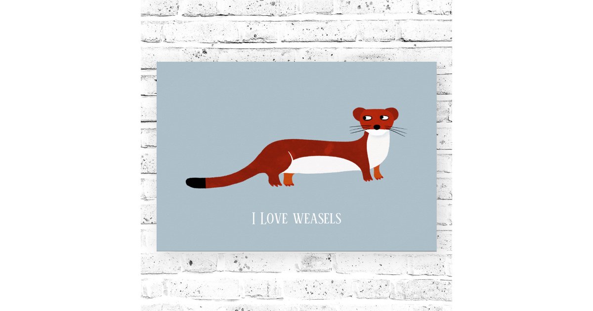 Cute Weasel Poster | Zazzle