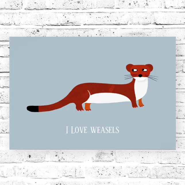 Cute Weasel Poster | Zazzle