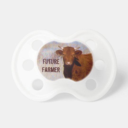 Cute Western Red Cows Cattle Farmer Pacifier | Zazzle.com