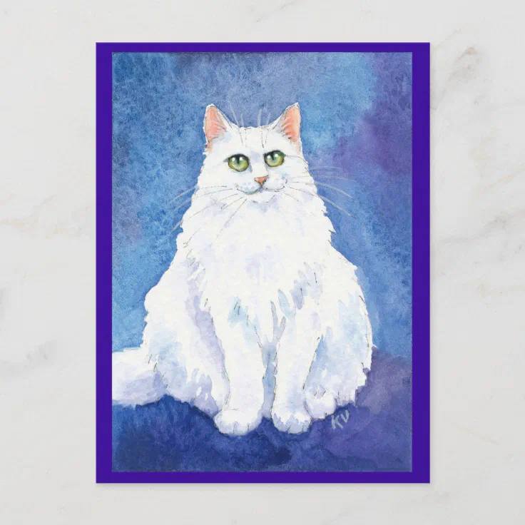 Cute white cat or kitten postcard | Zazzle
