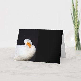 Cute White, Duck, blank note card | Zazzle