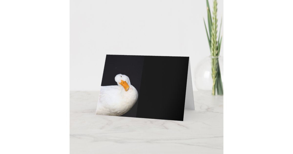 Cute White, Duck, blank note card | Zazzle
