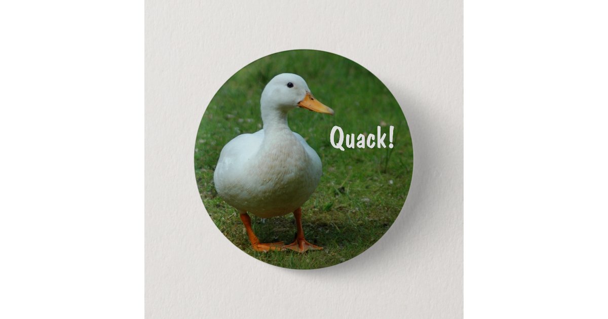 Cute white duck button / badge | Zazzle