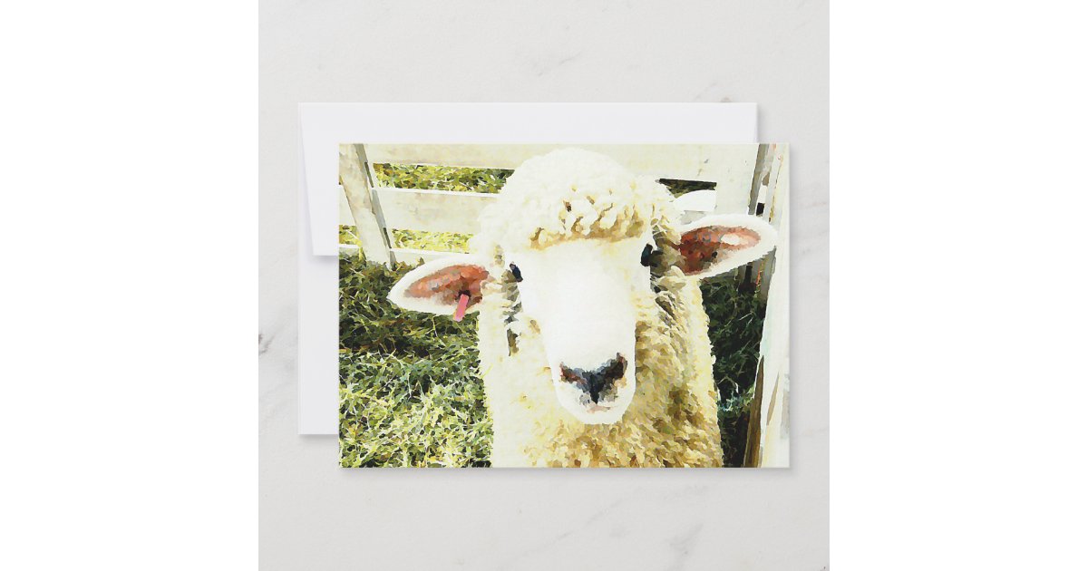 Cute White Fluffy Sheep Invitation | Zazzle
