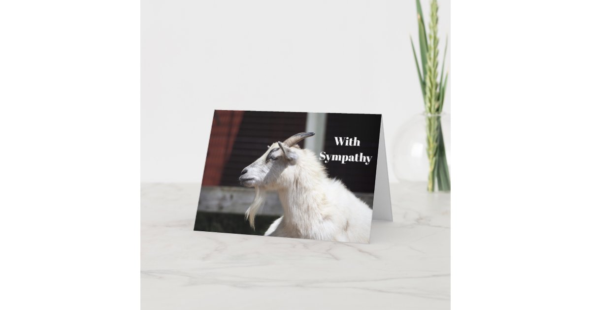 Cute White Goat Profile Photo Sympathy Card | Zazzle