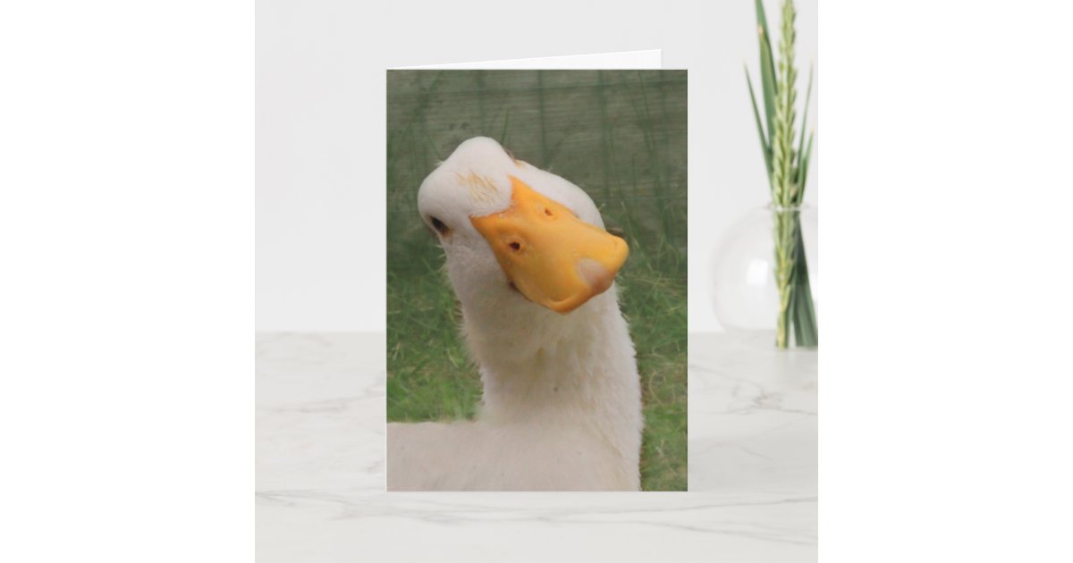Cute White Goose Birthday Card | Zazzle