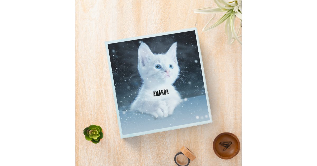 Cute White Kitten with Pretty Blue Eyes 3 Ring Binder | Zazzle