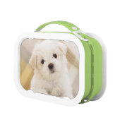 Cute White Puppy Dog Lunch Box Kids School Food | Zazzle