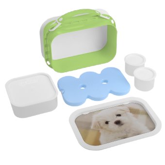 Cute White Puppy Dog Lunch Box Kids School Food | Zazzle