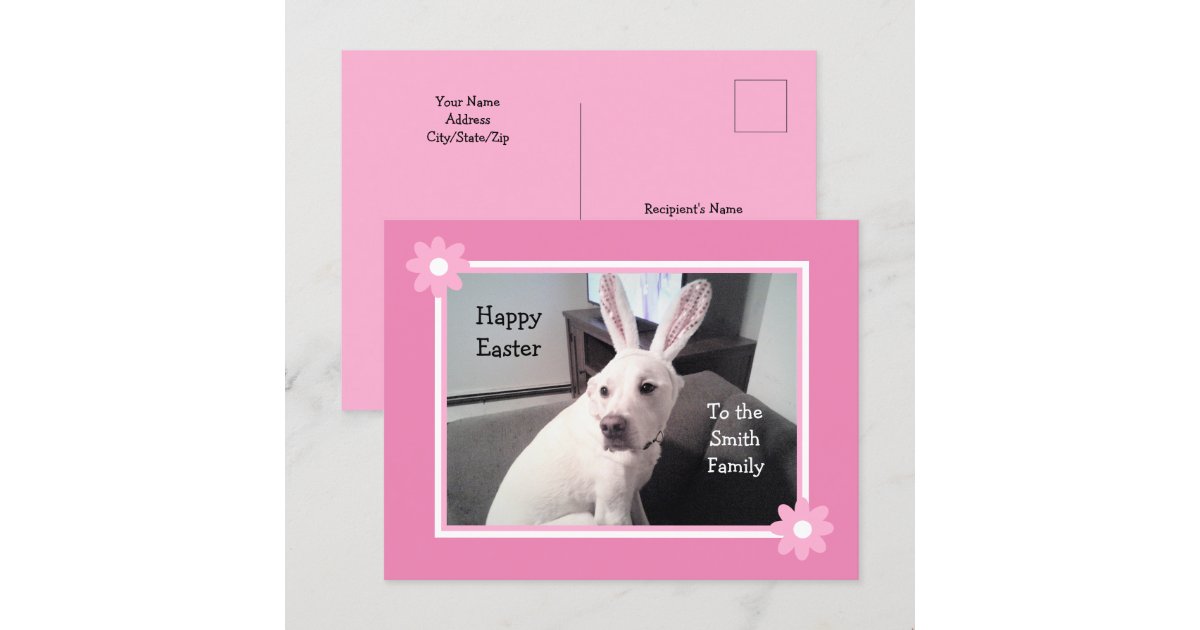 Cute White Puppy Dog Wearing Easter Bunny Ears Pos Postcard | Zazzle