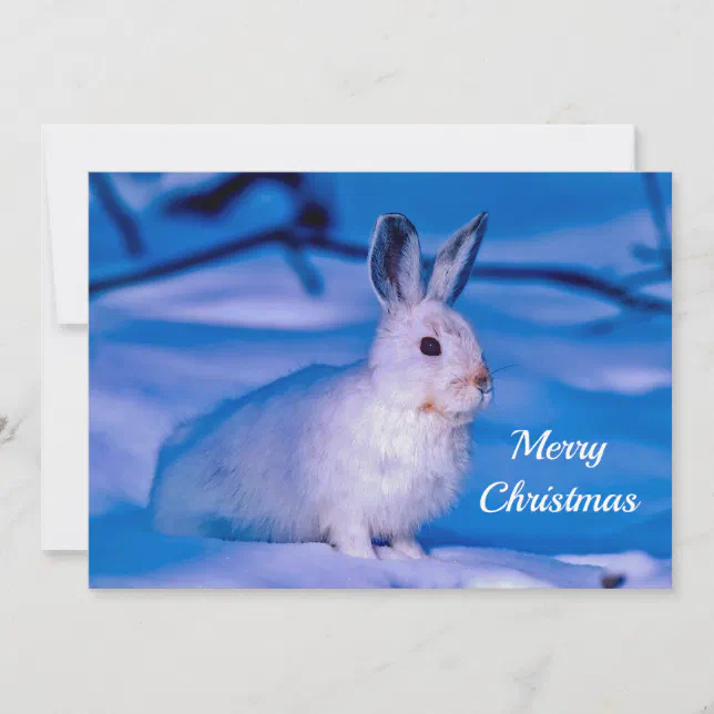 Cute White Rabbit Snow Photo Christmas Flat Holiday Card | Zazzle
