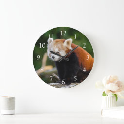 Cute Wild Red Panda Photo Large Clock | Zazzle